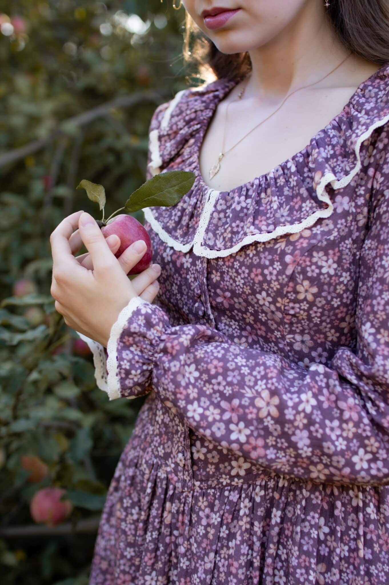 Mirabelle - Revintaria
